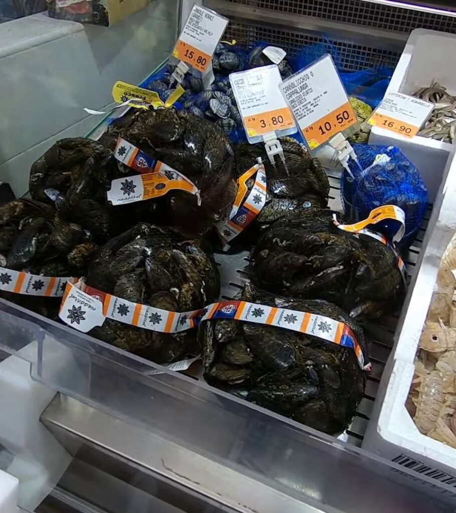 What Are Technics? • Jore